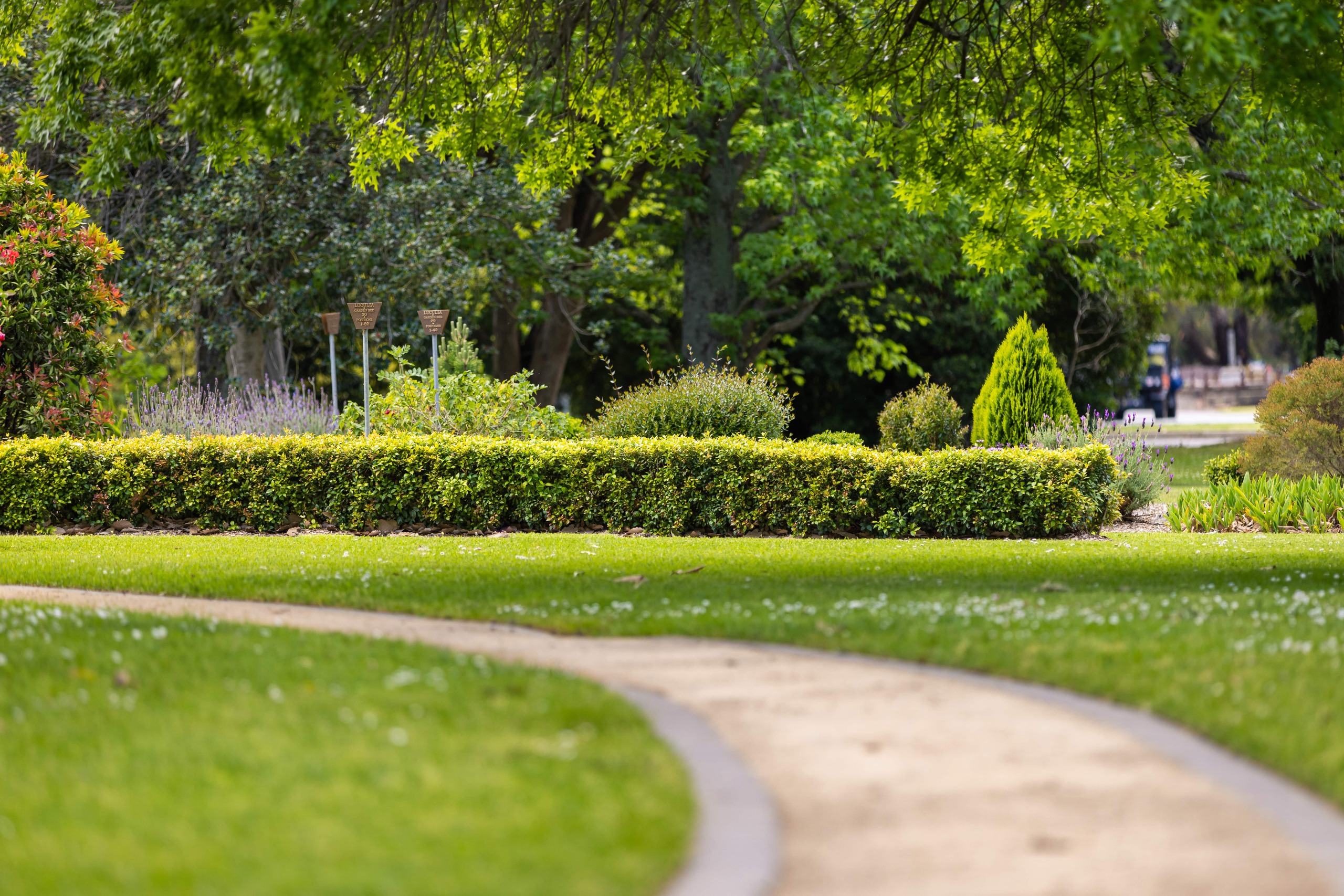 Springvale Botanical Cemetery Waste Collection Trial | Engage With SMCT