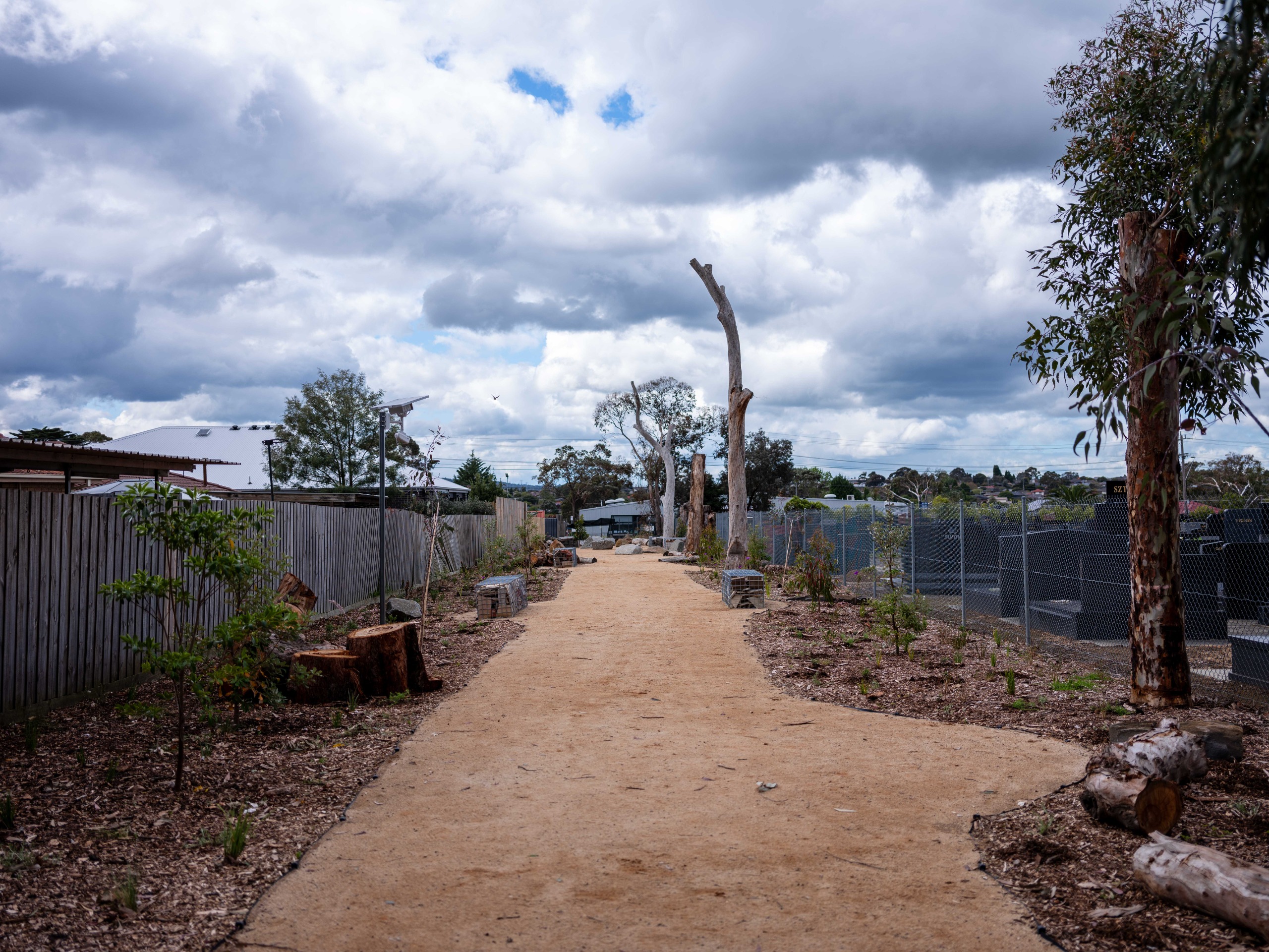 SBC Microforest School Planting | Engage With SMCT